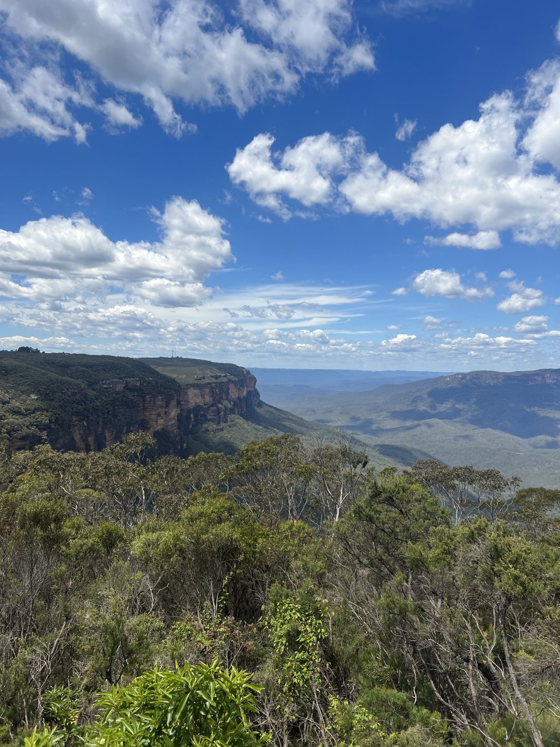 Celebrating Australia Day: A Interview with Ben Welsh from our APAC ...