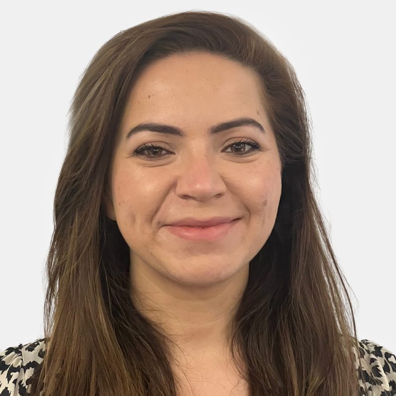 Meet the Traveltek Team: Uniting Passion and Expertise in Travel Technology